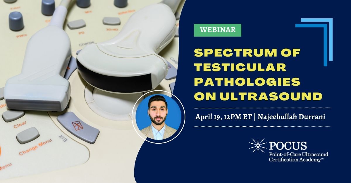 Introduction to Hydroceles | POCUS Resources & Case Studies | POCUS.org