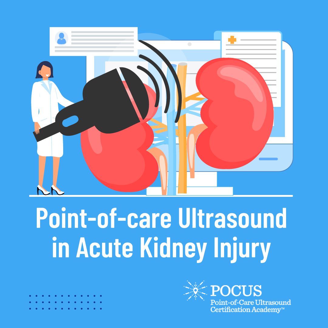 POCUS in Acute Kidney Injuries | POCUS Resources & Case Studies | POCUS.org